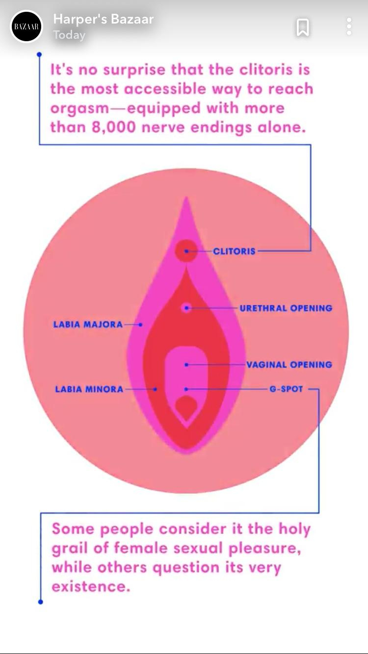 G Spot Diagram Exatin info