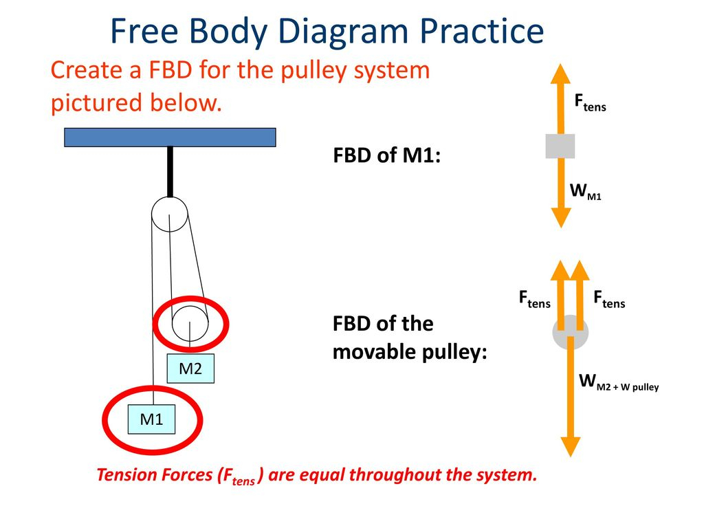 Free Body Diagram Exatin info